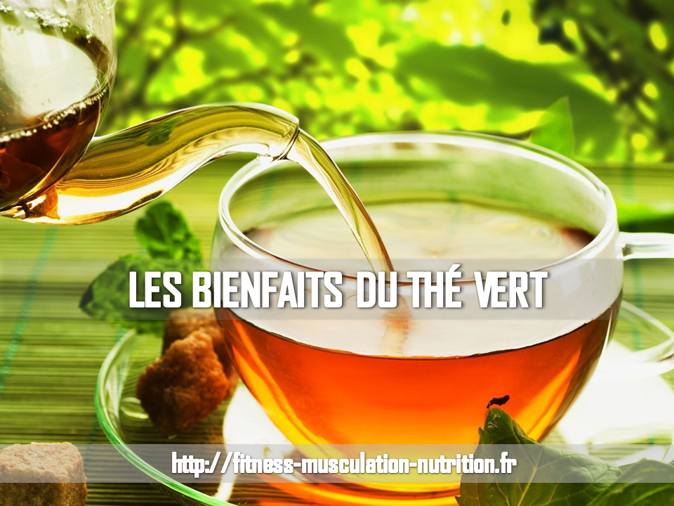 Les bienfaits du thé vert - Fitness Musculation Nutrition